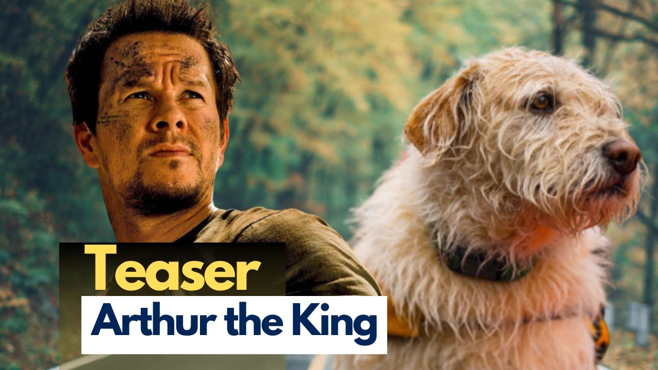 Arthur The King, el perro ultramaratonista, ahora tiene su película ...